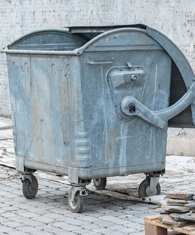 Hochwertige Umleerbehälter von Delta Container