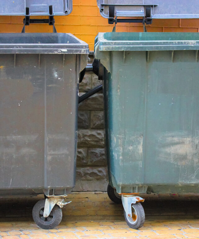 Hochwertige Umleerbehälter von Delta Container